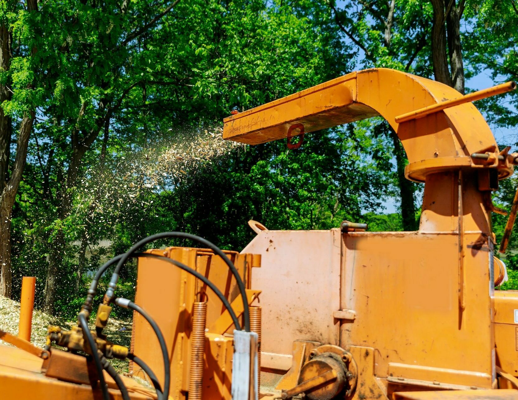 Wood Chipping - Tree Legged Men 0407 531 436