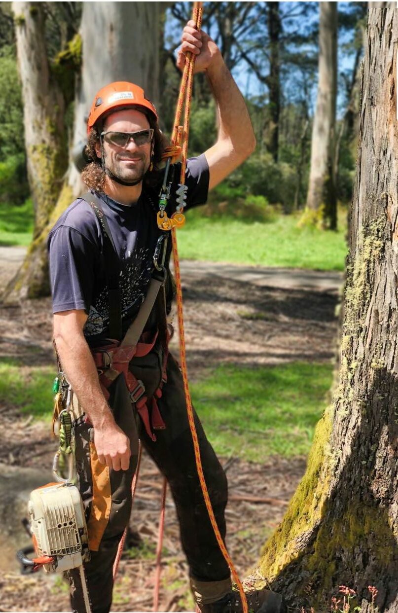 Macedon Ranges Tree Services - Tree Legged Men 0407 531 436