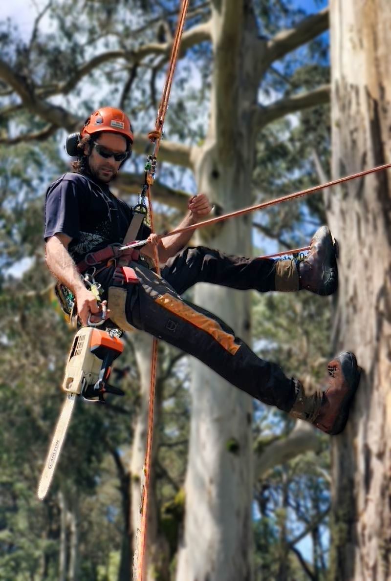 Tree Removal - Tree Legged Men 0407 531 436