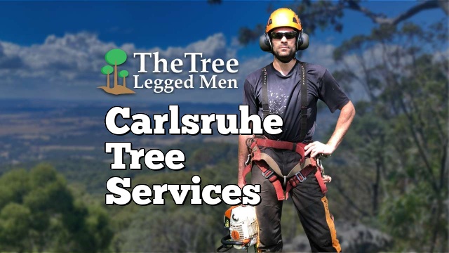 Carlsruhe Tree Services - Tree Legged Men 0407 531 436