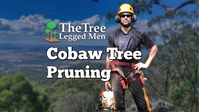 Cobaw Tree Pruning - Tree Legged Men 0407 531 436