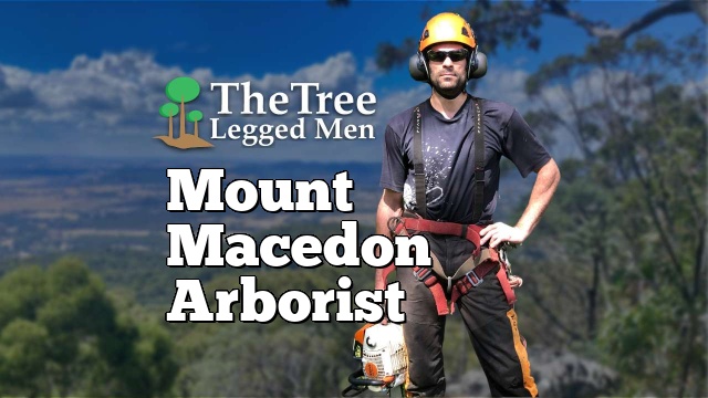 Mount Macedon Arborist - Tree Legged Men 0407 531 436