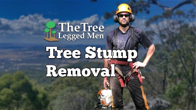 Tree Stump Removal - Tree Legged Men 0407 531 436